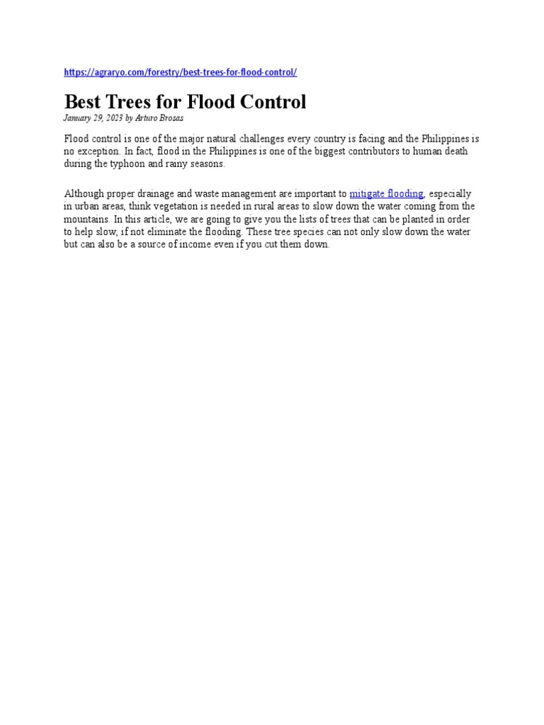Plant Trees To Avoid Flooding | PDF | Flood | Trees
