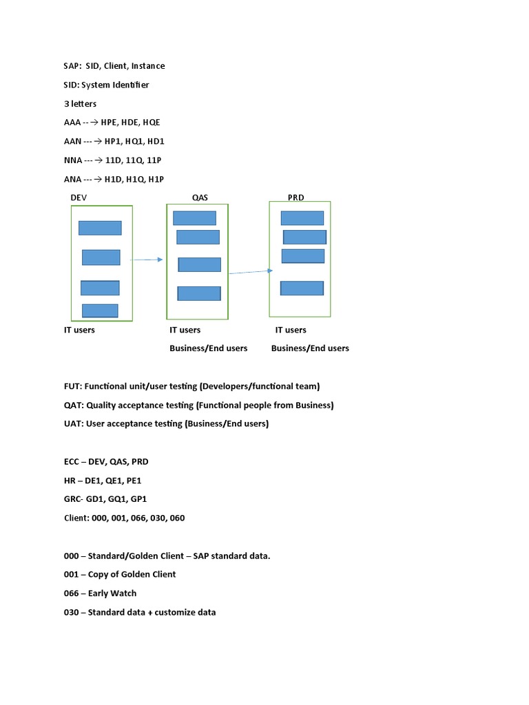SAP Notes | PDF | User (Computing) | Password