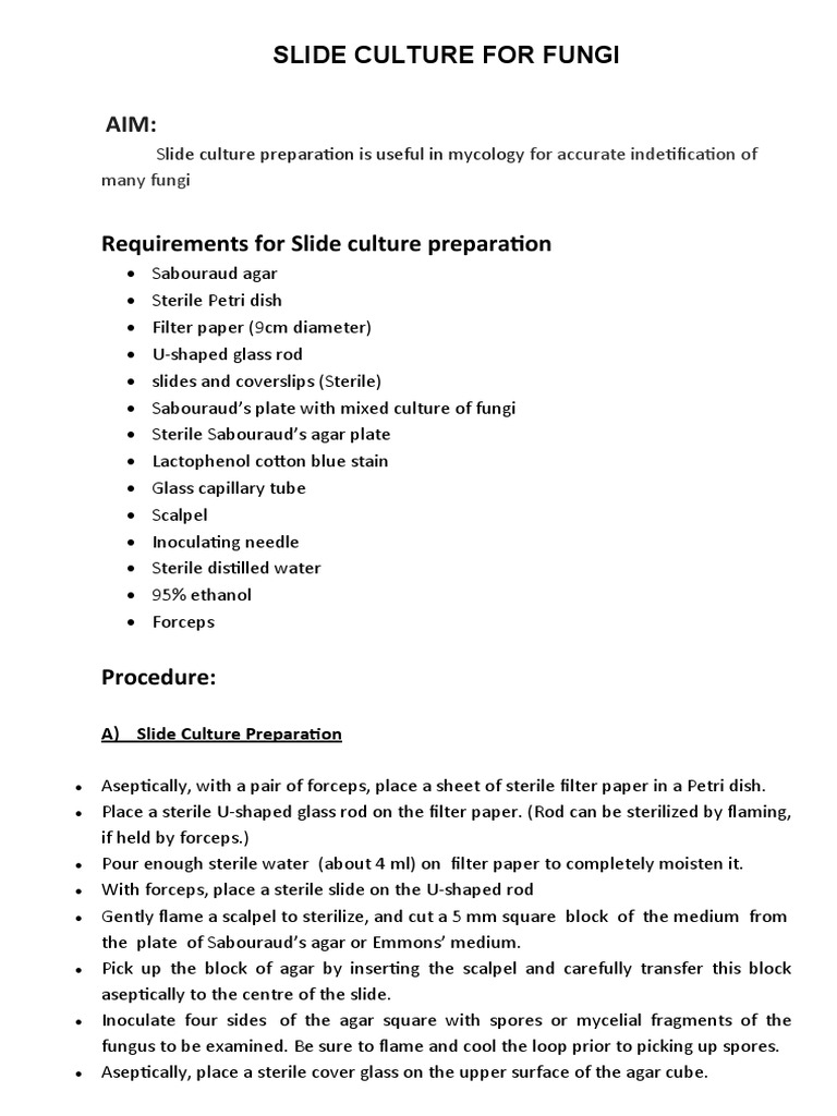 Slide Culture | PDF | Fungus | Mycology
