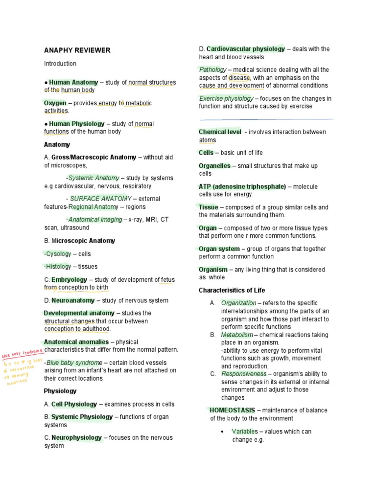 Anaphy Reviewer | PDF | Epithelium | Connective Tissue