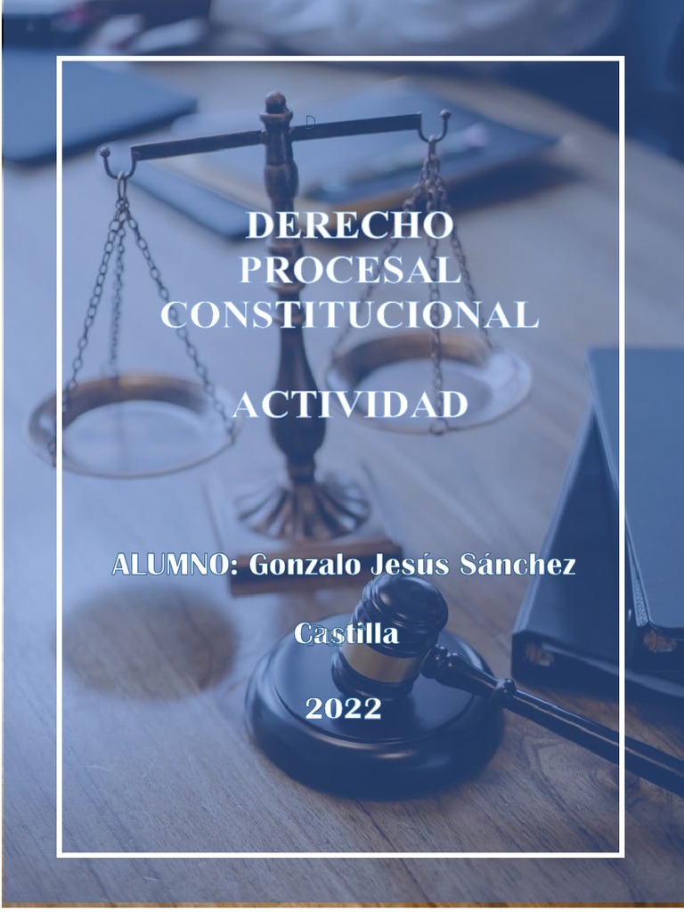 Actividad - Mapa Conceptual - Derecho Procesal Constitucional | PDF