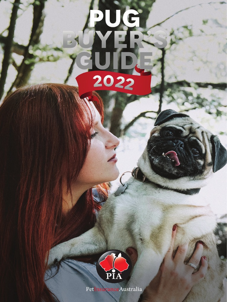 PIA Guide Pug | PDF | Dogs | Dog Breeds