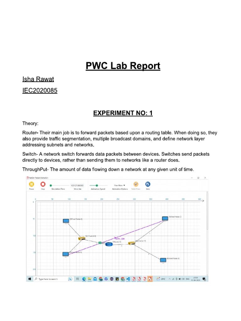 Lap Report PWC | PDF