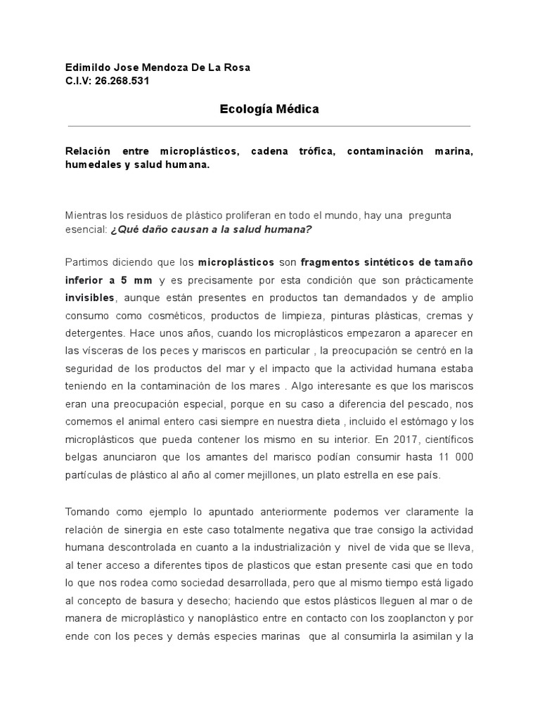 Relación entre microplásticos, cadena trófica, contaminación marina ...