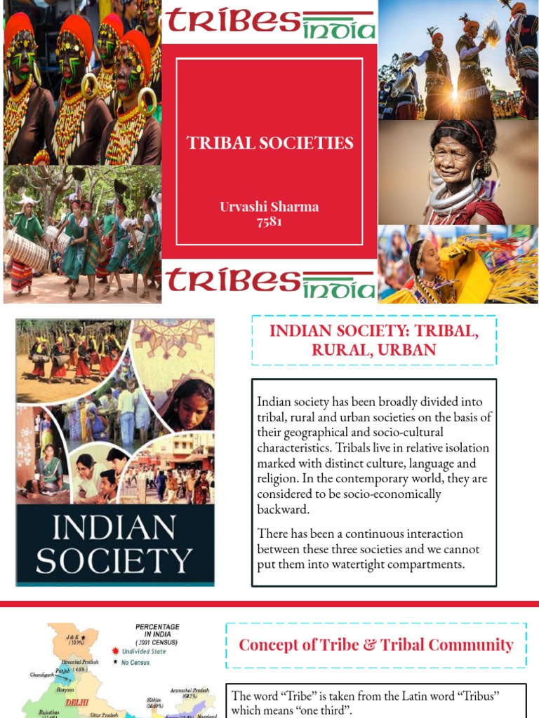 Tribal Society | PDF | Tribe | Kinship