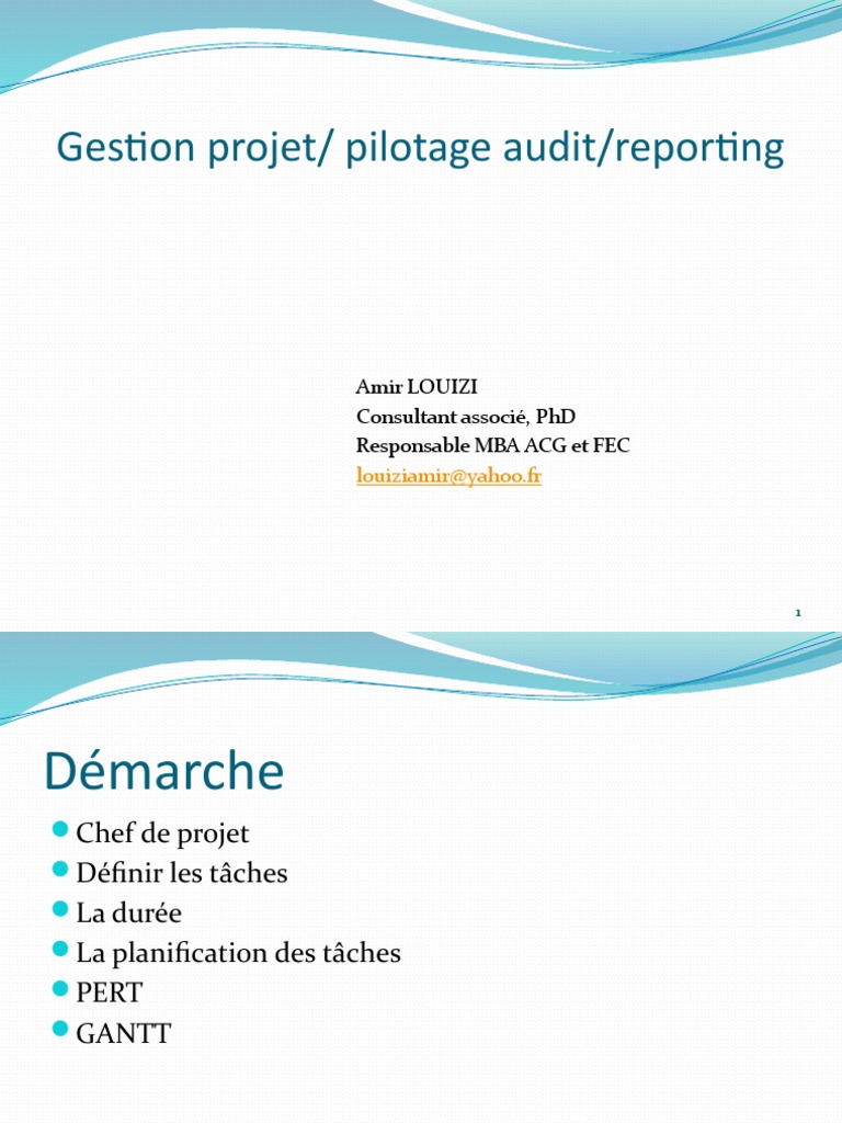 Support Gestion Projet | PDF | Audit | Économie d'entreprise
