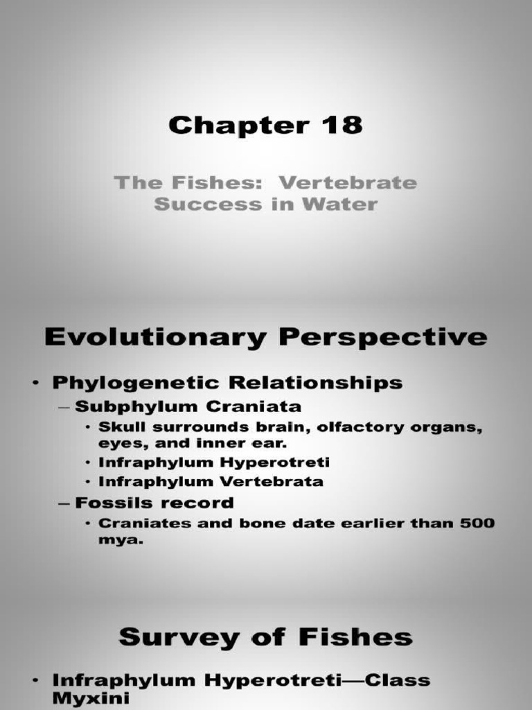 Chapter 18 Fishes | PDF