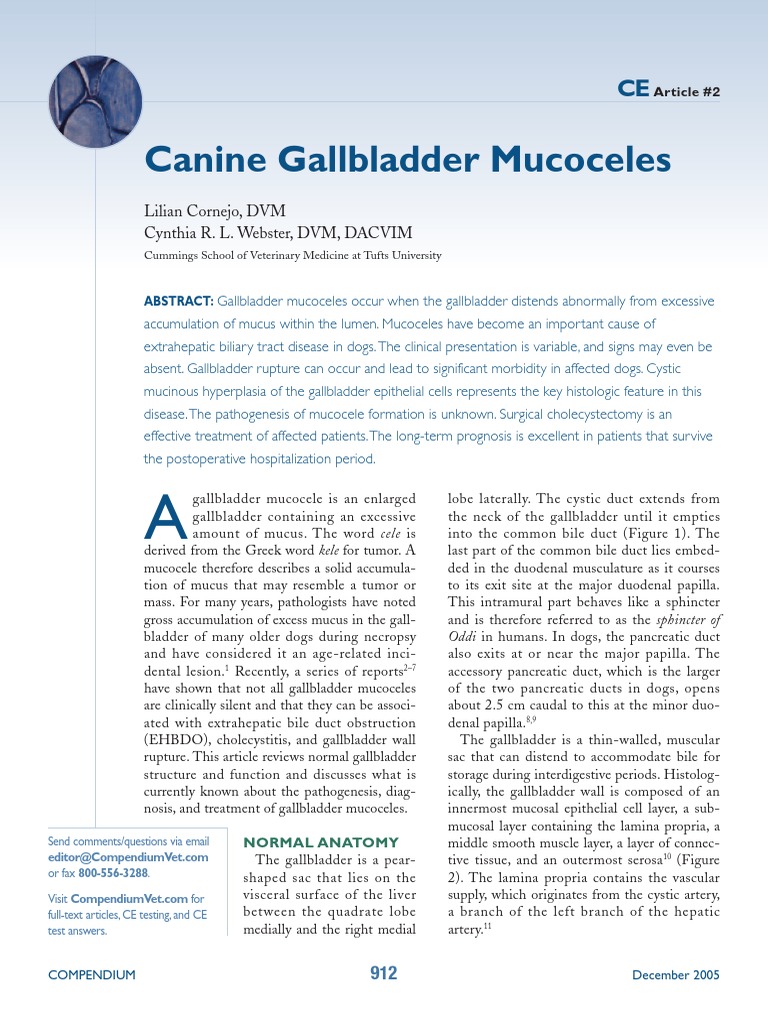 Mucocele 2 | PDF | Gallbladder | Liver