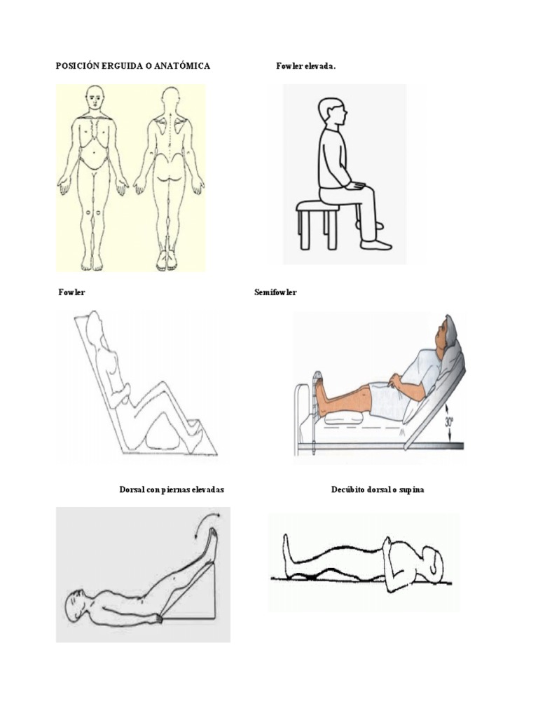Posiciones Corporales Médicas | PDF