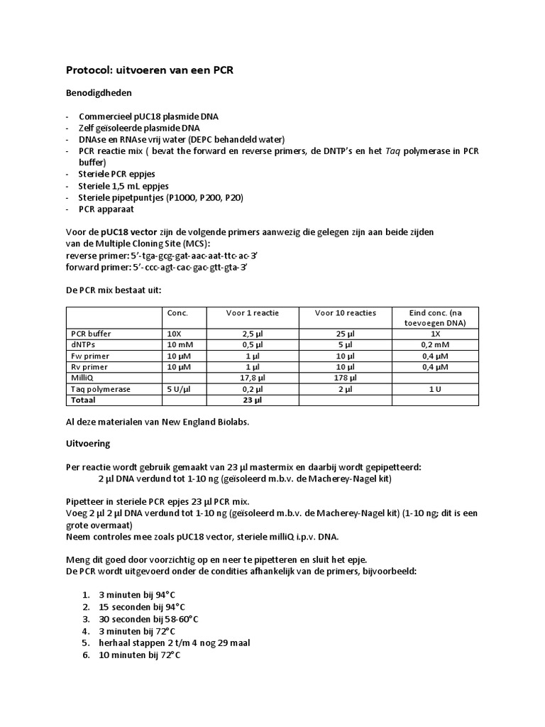 PCR Protocol mcb11p | PDF