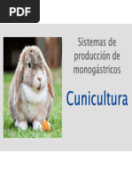 El Ciclo de Vida Del Conejo | PDF