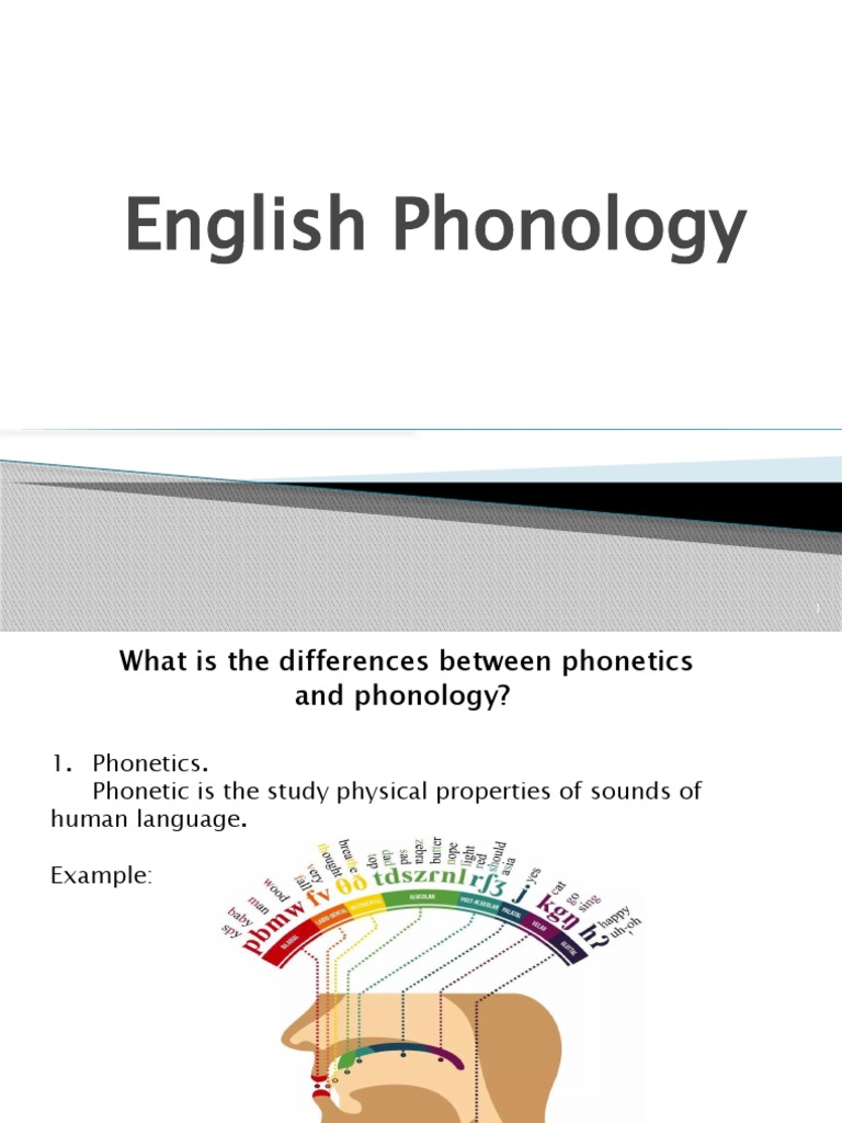 Vowels | PDF | Phonetics | English Language