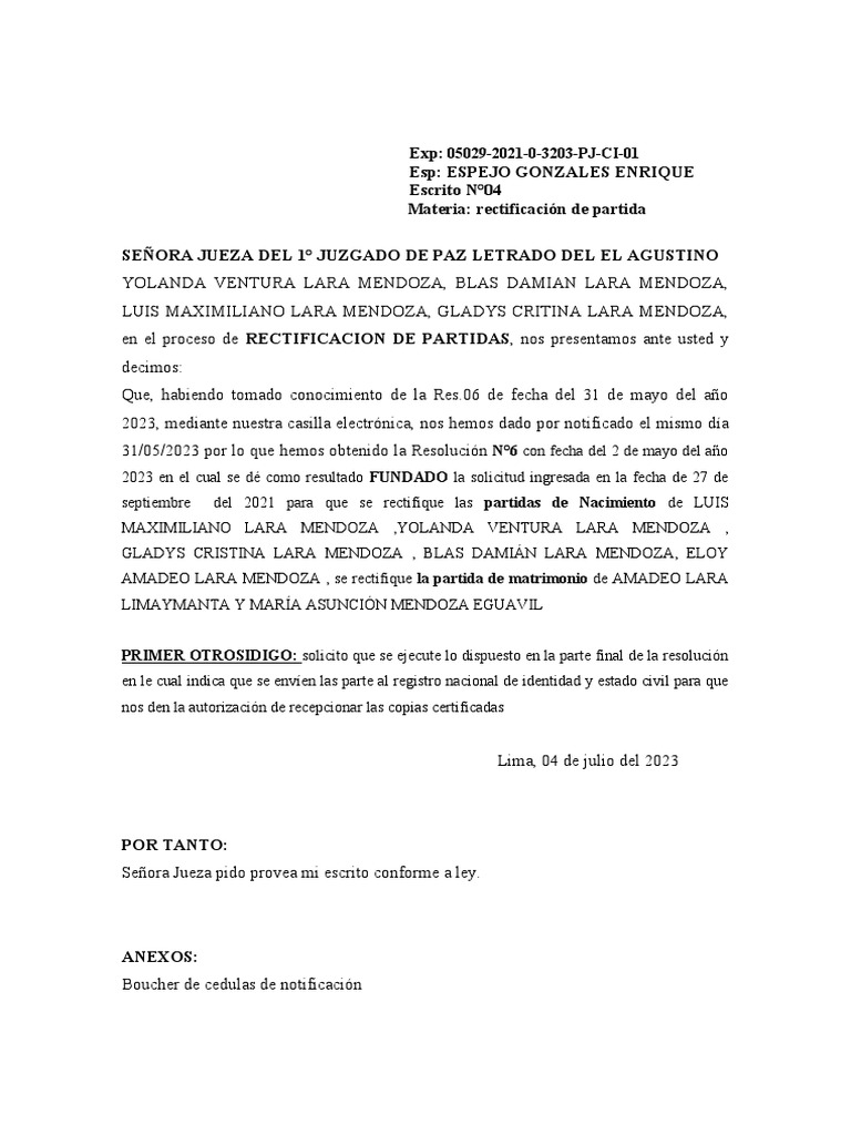 escrito para rectificacion (1) | PDF