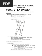 Articulación Coxofemoral Cuadro Integrador | PDF | Rodilla | Cadera