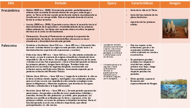 Division de Eras | PDF | Naturaleza | Ciencias de la Tierra