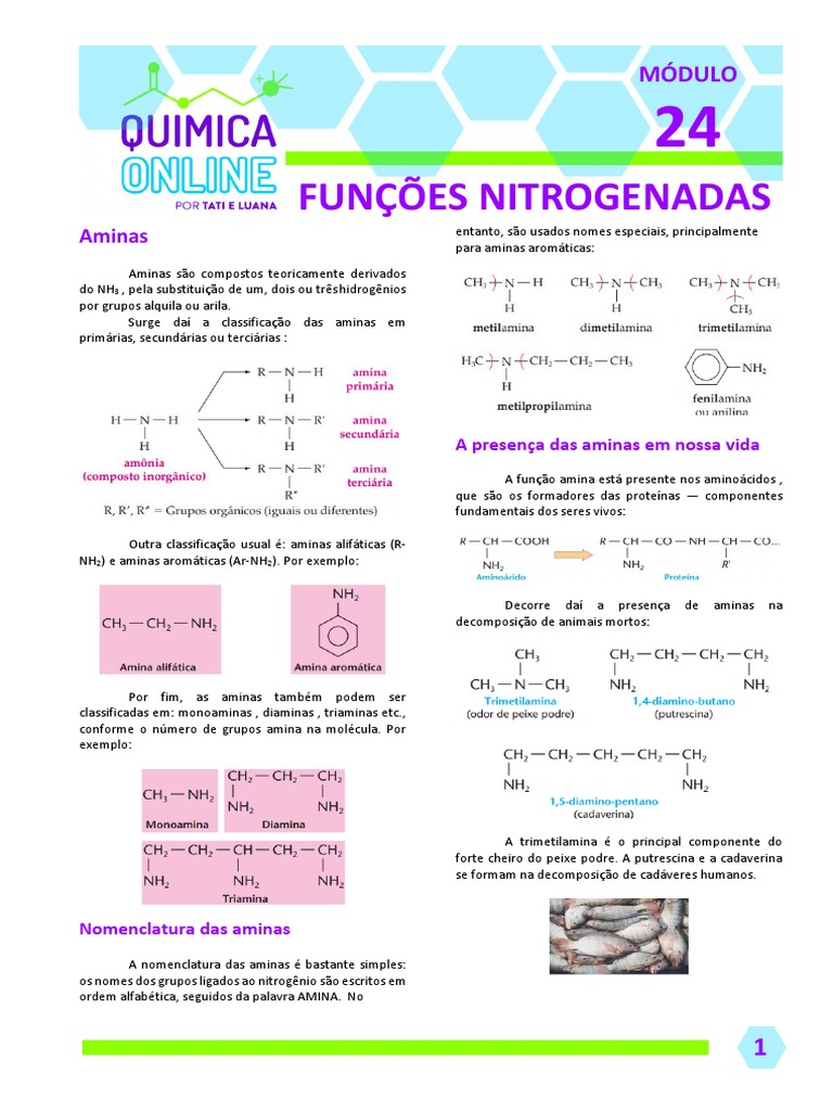 Funções Nitrogenadas: Aminas, Amidas e Nitrocompostos | PDF | Amina | Amida
