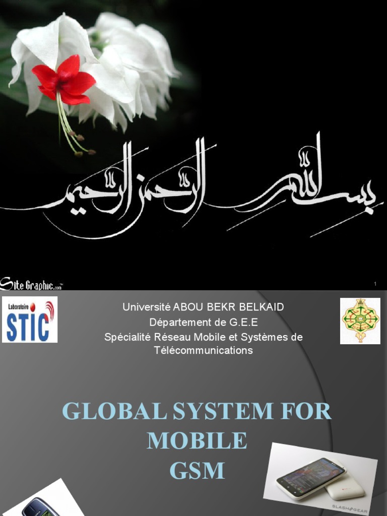 Global System for Mobile | PDF | GSM | Réseau cellulaire