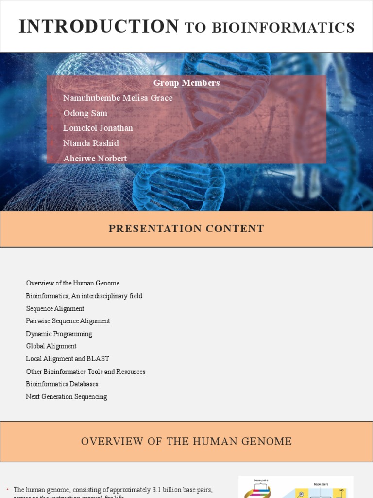 Introduction To Bioinformatics Presentation | PDF | Sequence Alignment ...