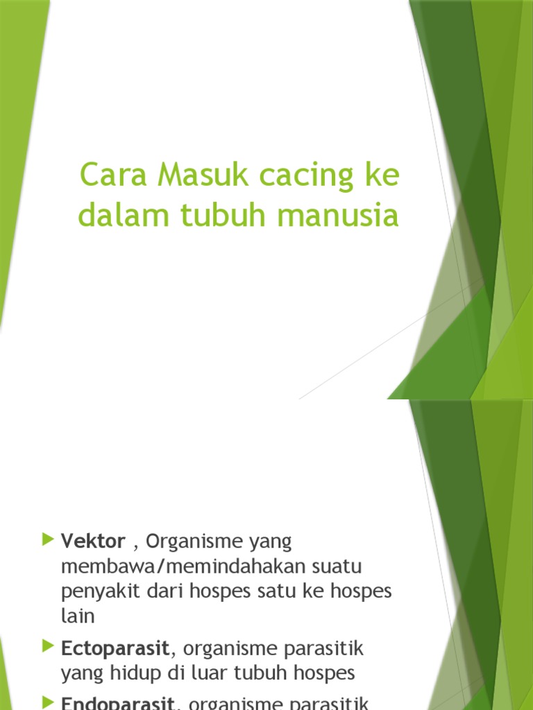 Infeksi Cacing: Cara Masuk dan Dampaknya | PDF
