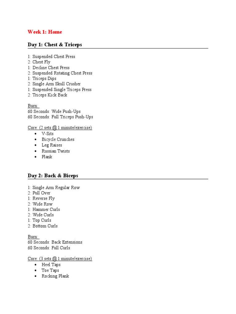 Dad's Workout Plan - Home - R2 | PDF | Strength Training | Human Anatomy