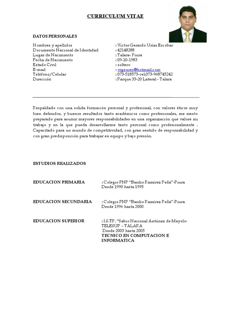 Curriculum Vitae | Descargar gratis PDF | Informática | Software