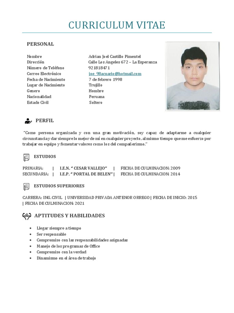 CV Castillo Pimentel | PDF