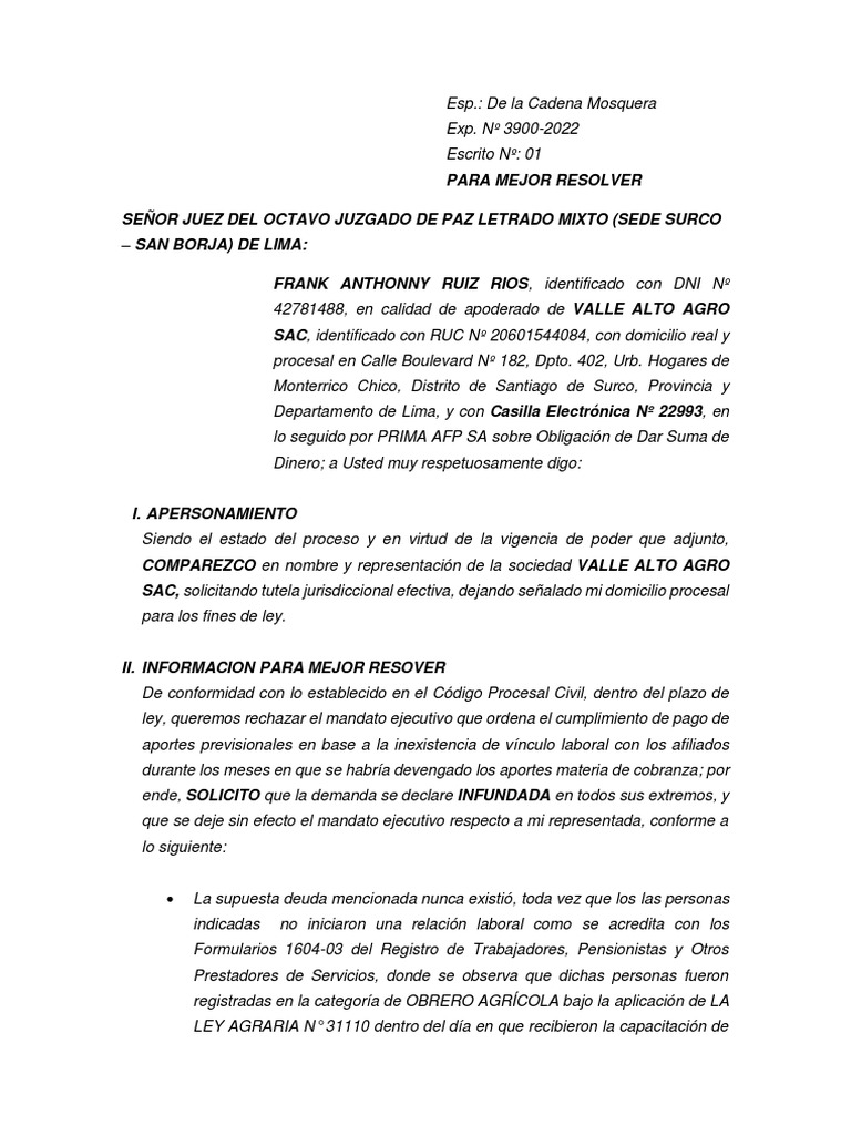 Escrito Mejor Resolver | Descargar gratis PDF | Pensión | Jubilación