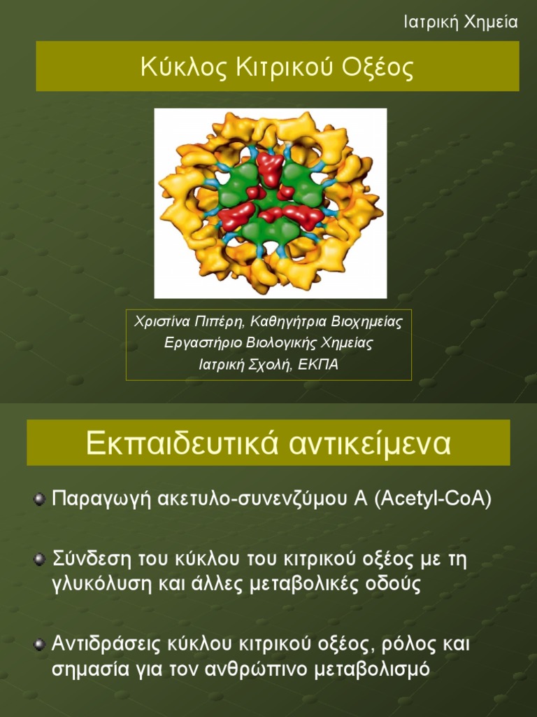 5. Κύκλος του Κιτρικού Οξέος - Χ Πιπέρη | PDF