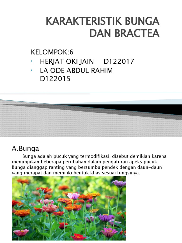 Karakteristik Bunga dan Bractea | PDF
