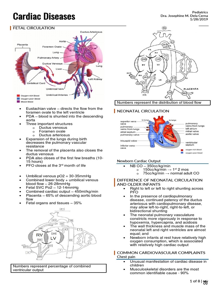 Cardiac Diseases | PDF | Heart | Causes Of Death