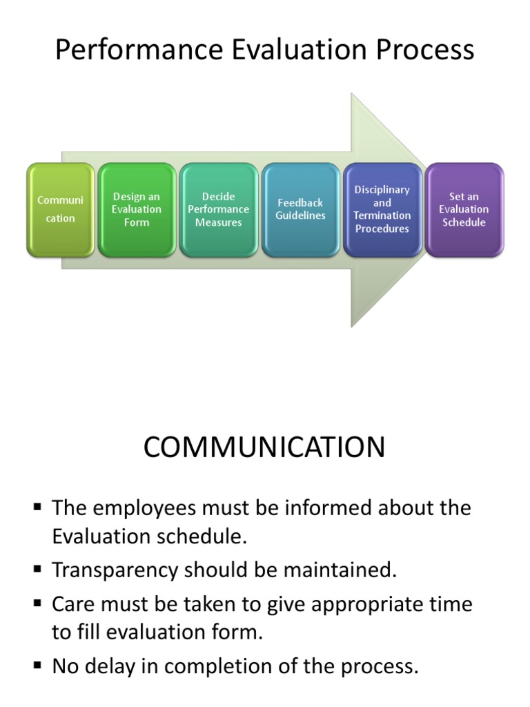 Performance Evaluation Process Guide | PDF