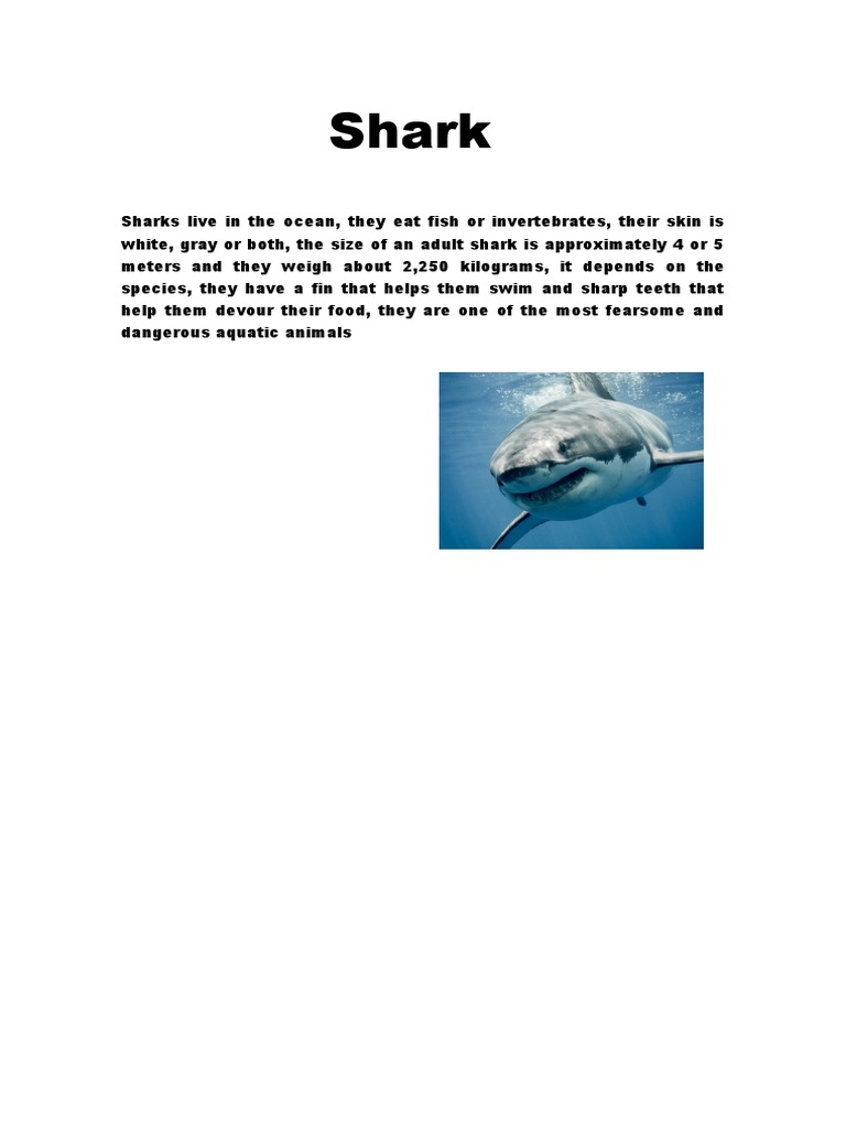 Ingles - Shark | PDF