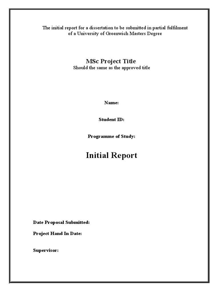 MSc Initial Report Guidelines | PDF