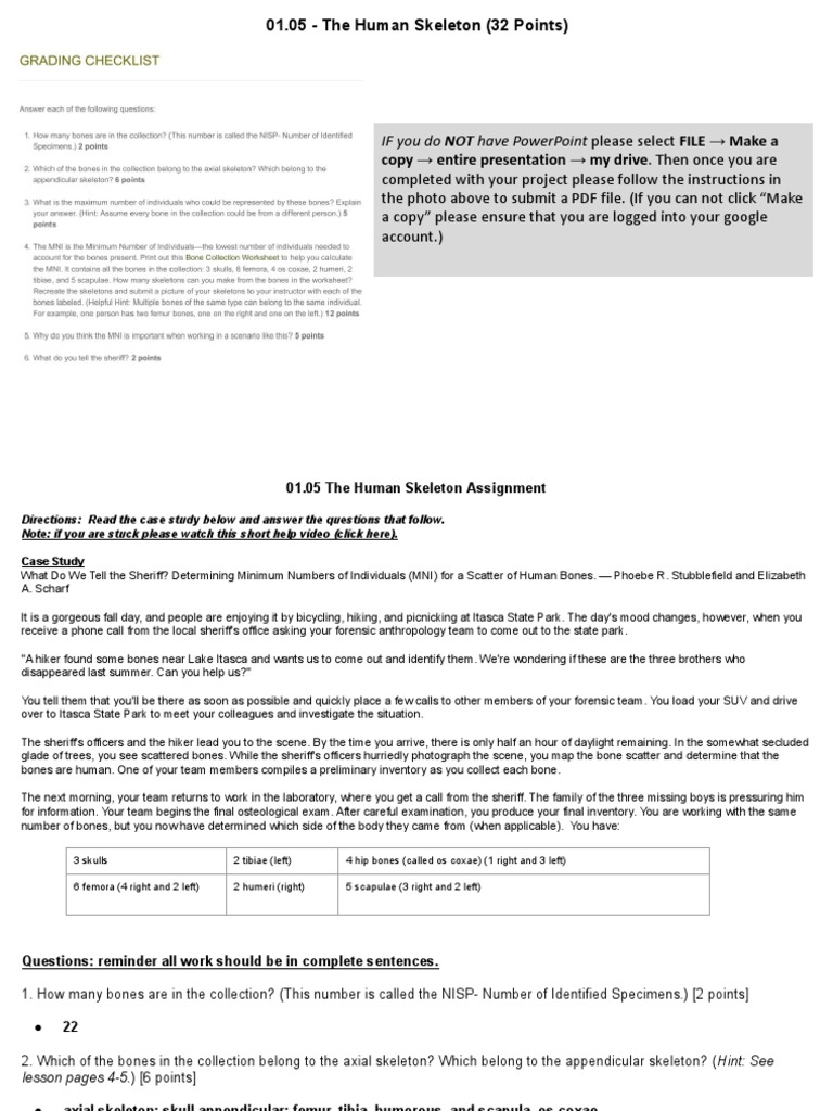 Forensic Analysis of Human Bones | PDF | Hip | Skeletal System