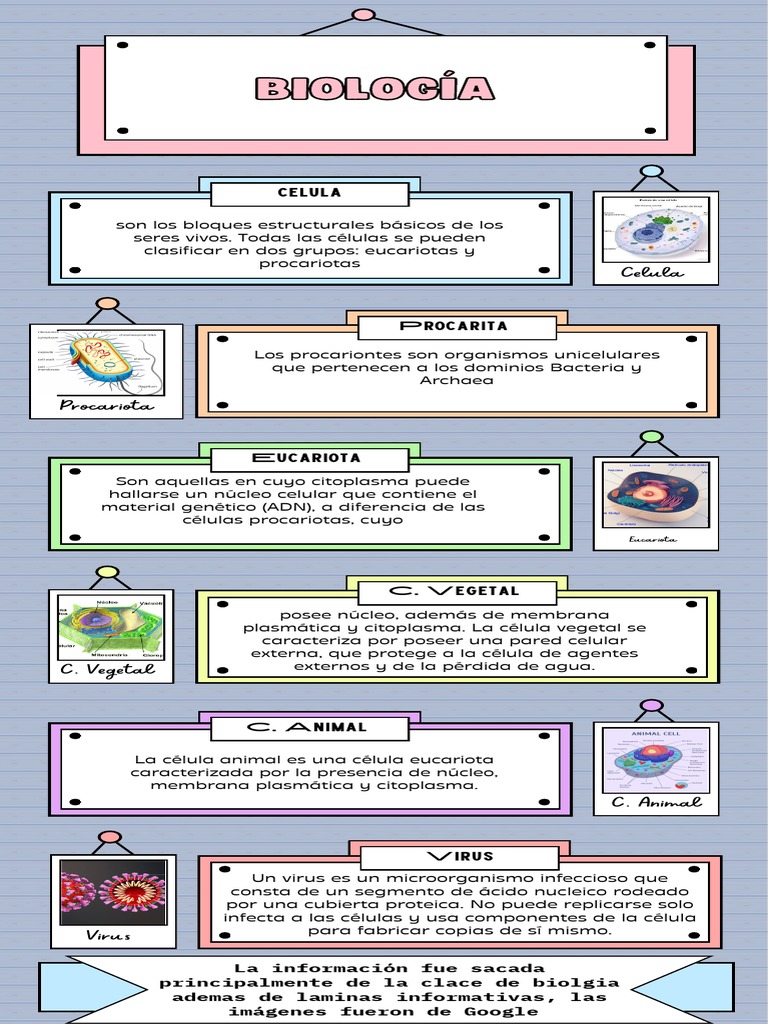 Infografia de La Celula | PDF Infografia de La Celula | PDF