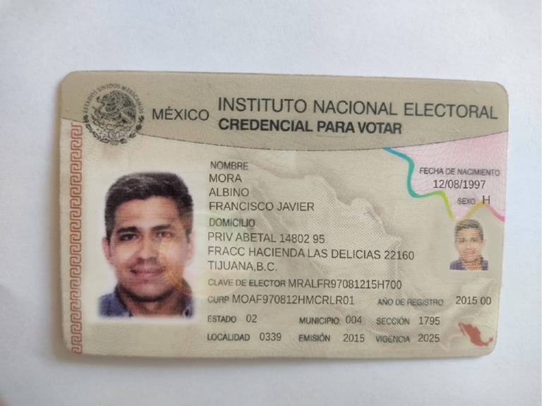 Ine Si Editable Delantera 1 Francisco Javier | PDF