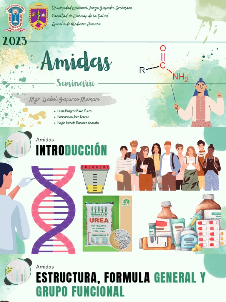 AMIDAS | PDF | Amida | Ácido