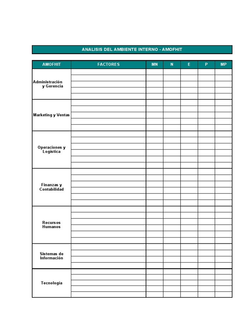 Análisis Interno AMOFHIT | PDF | Tecnología