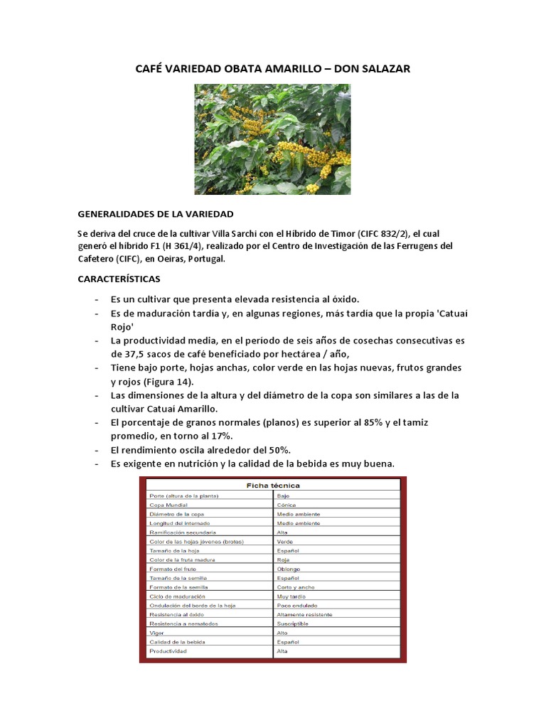 Café Variedad Obata Amarillo | PDF | Siembra | café