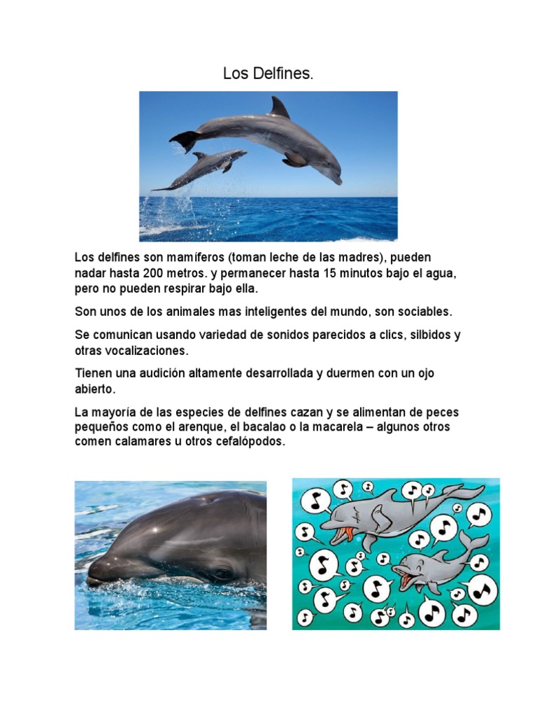 Inteligencia y Hábitos de los Delfines | PDF | Estudios de idiomas ...