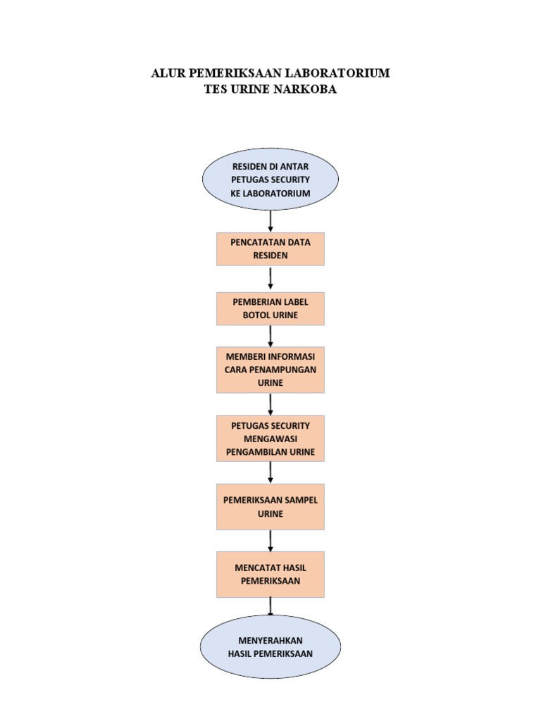 Alur Pemeriksaan Laboratorium Urine | PDF