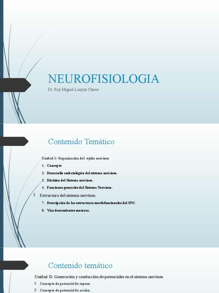 NEUROFISIOLOGIA | PDF | Sinapsis | Neurona