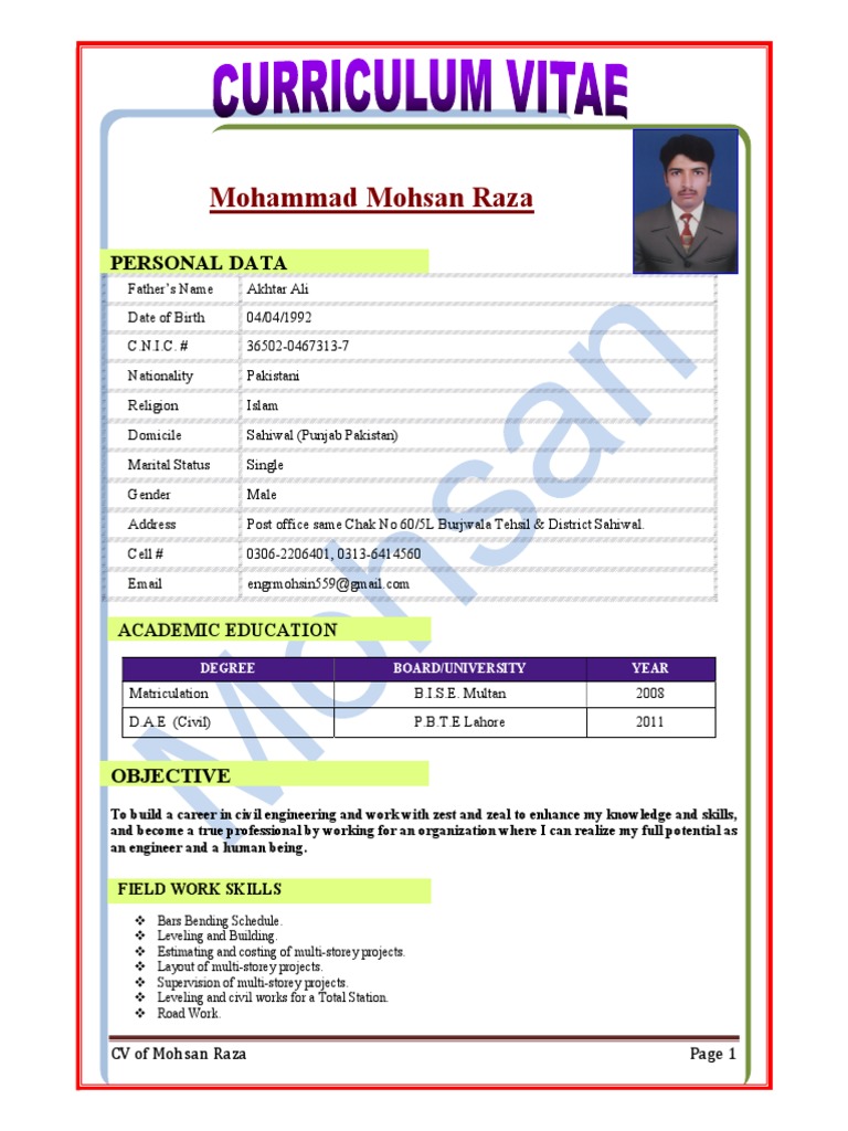 0-Engrmohsin559@gmail - com-CV of Mohsin Raza | PDF | Pakistan