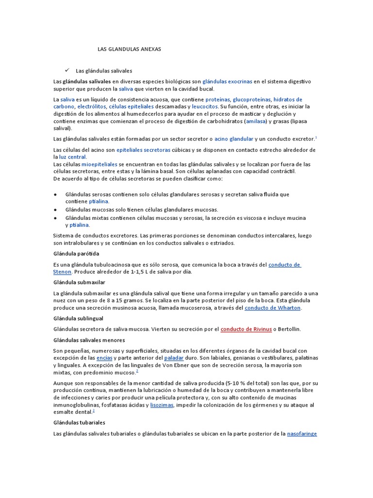 Glándula Parótida: Conducto de Rivinus | PDF | Vesícula biliar | Páncreas