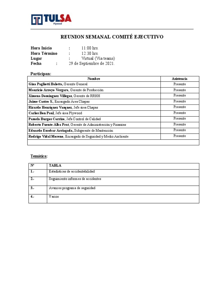 Reunión Comité Ejecutivo: Seguridad Laboral | PDF