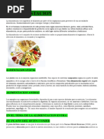 Comida Saludable Vs Comida Chatarra | PDF | Alimentos | Nutrición