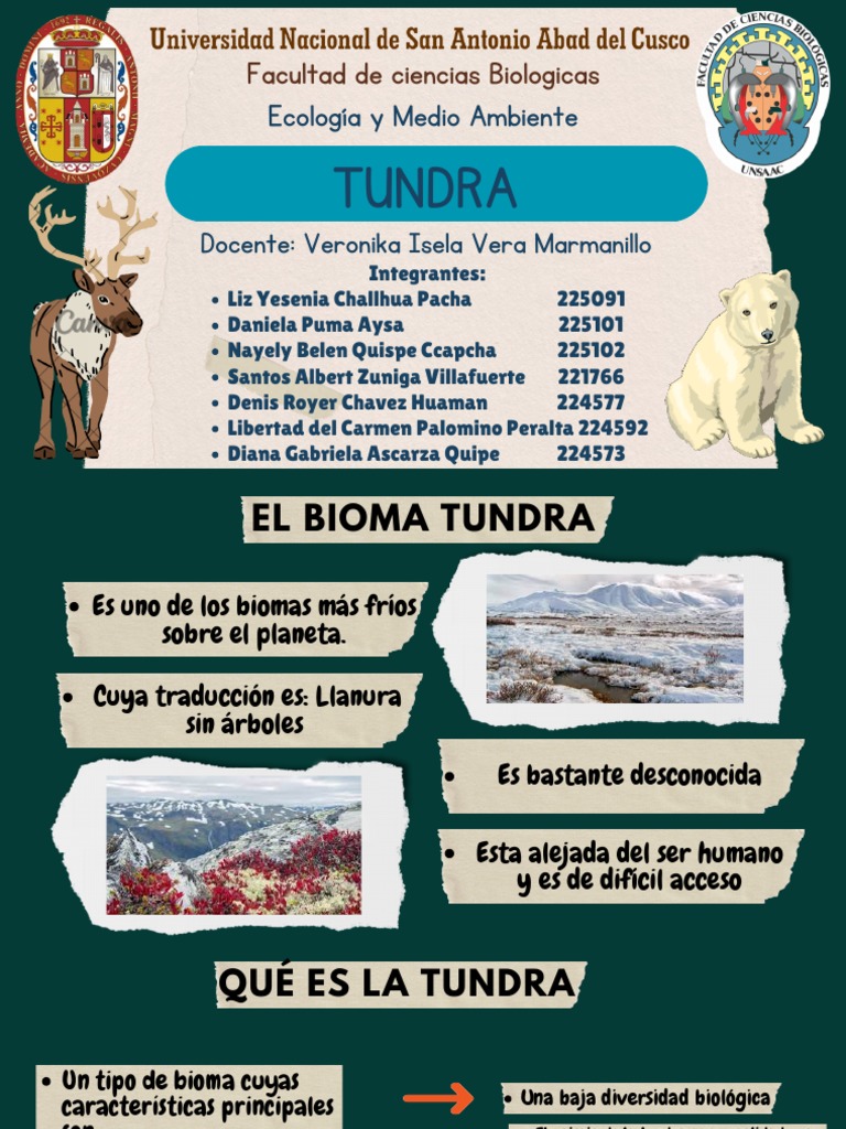 TUNDRA | PDF | Ecología | Biogeografia