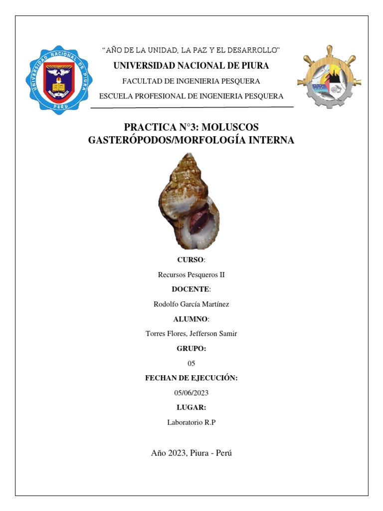 Morfología de Gasterópodos Marinos | PDF | Epitelio | Branquia
