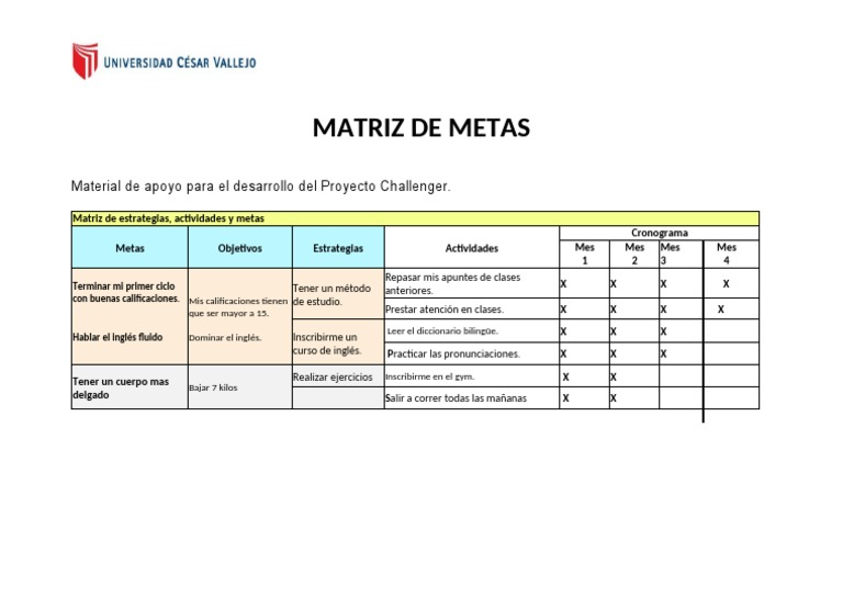 Matriz de Metas 12 | PDF