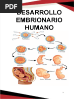 Manejo Perinatal del Anhidramnios Renal | PDF | Riñón | Diálisis